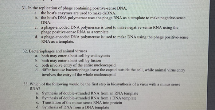 Solved 31. In the replication of phage containing | Chegg.com