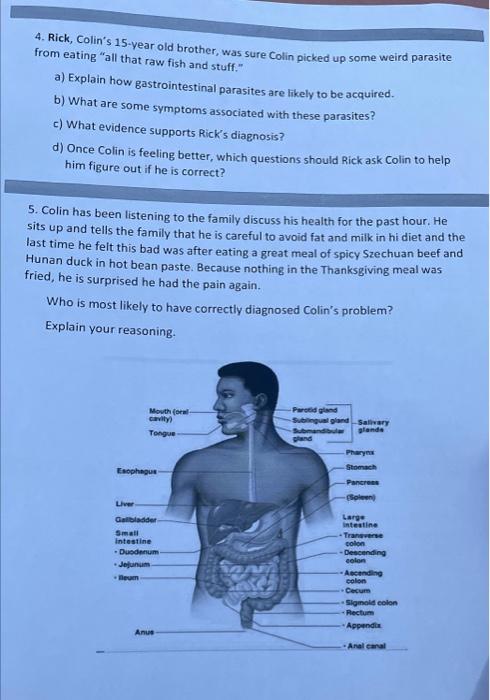 Thanksgiving Dinner Distress (Digestive System) Frank | Chegg.com