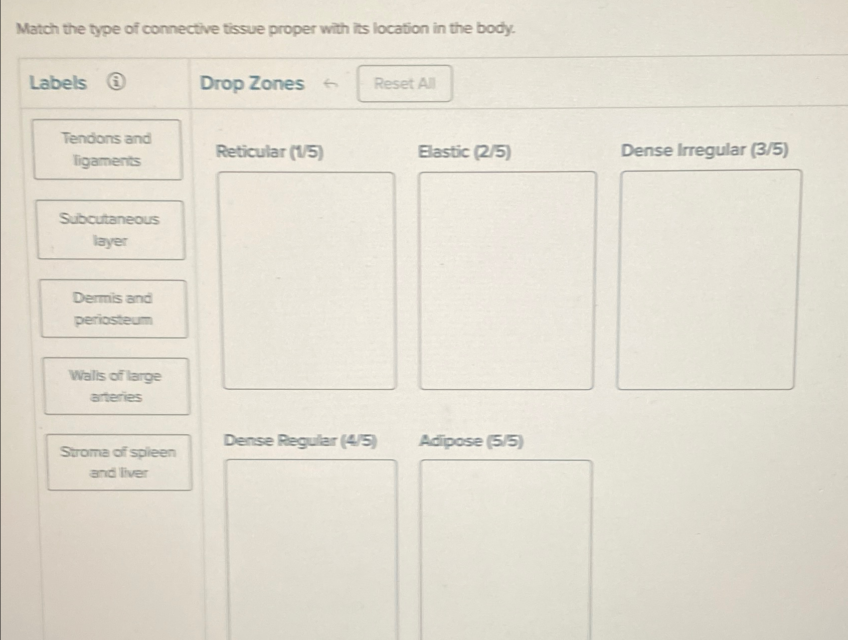 Solved Match the type of connective tissue proper with its | Chegg.com