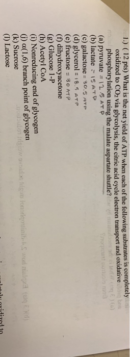 Solved 1.) (12 pts) What is the net yield of ATP when each | Chegg.com
