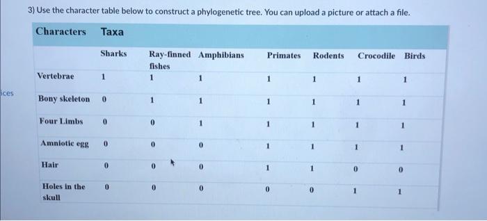 Solved 3) Use the character table below to construct a | Chegg.com
