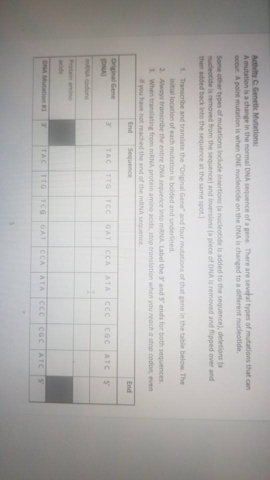 Solved Activity C: Genetic Mutations: A mutation is a change | Chegg.com