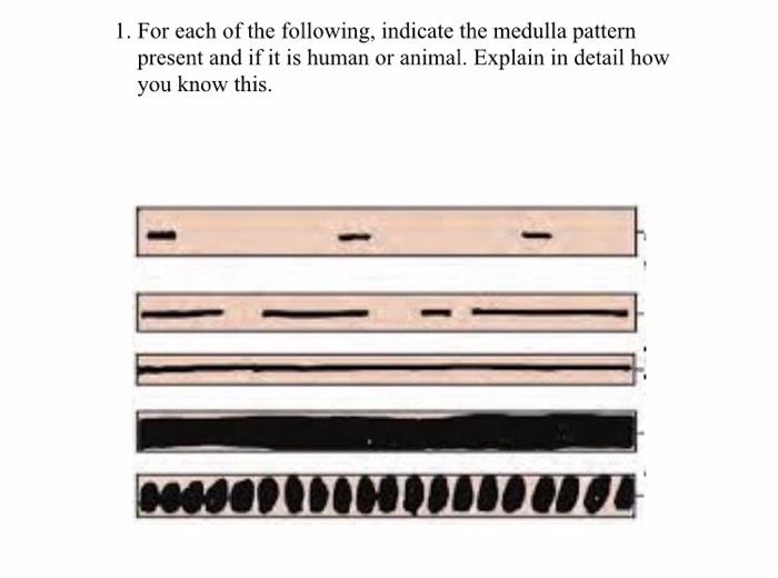 Solved 1. For each of the following, indicate the medulla | Chegg.com