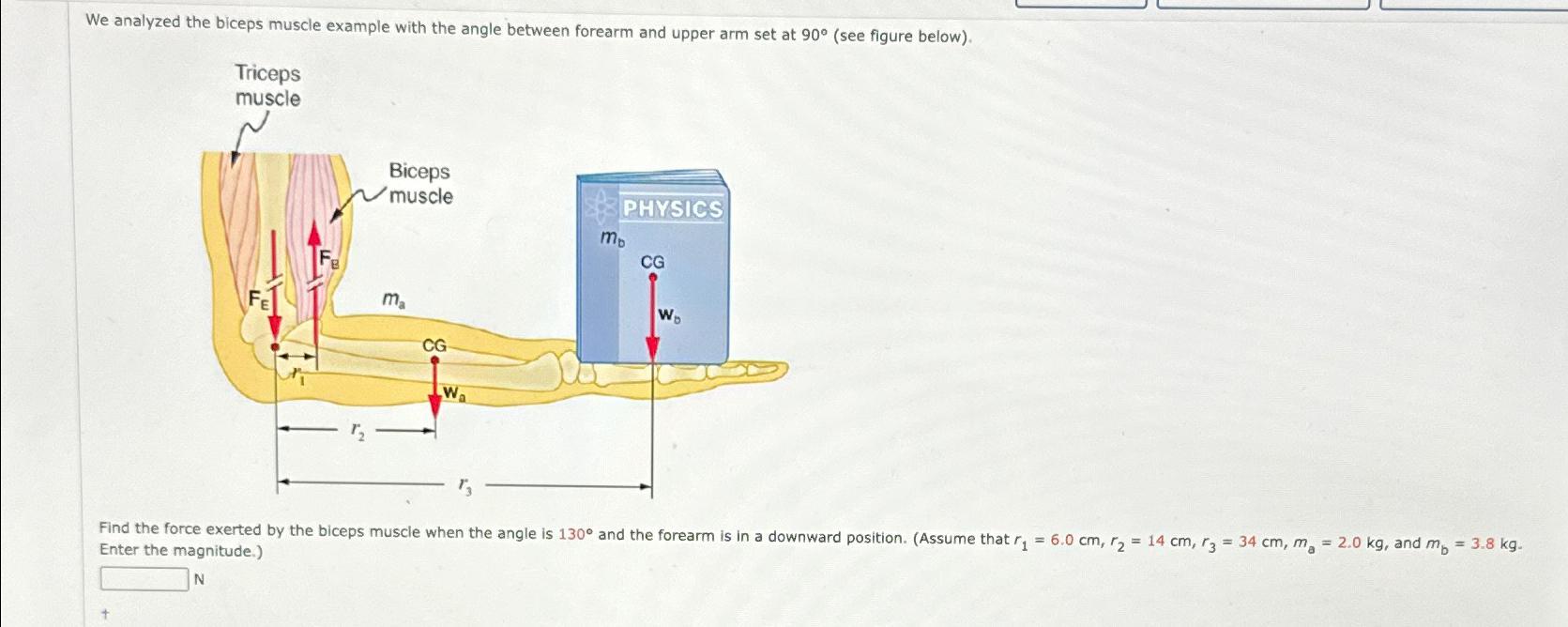 Solved We analyzed the biceps muscle example with the angle | Chegg.com