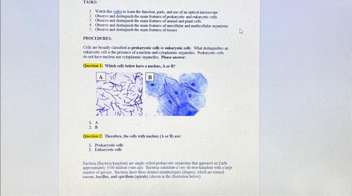 Solved TASKS: 1. Watch this video to learn the function, | Chegg.com
