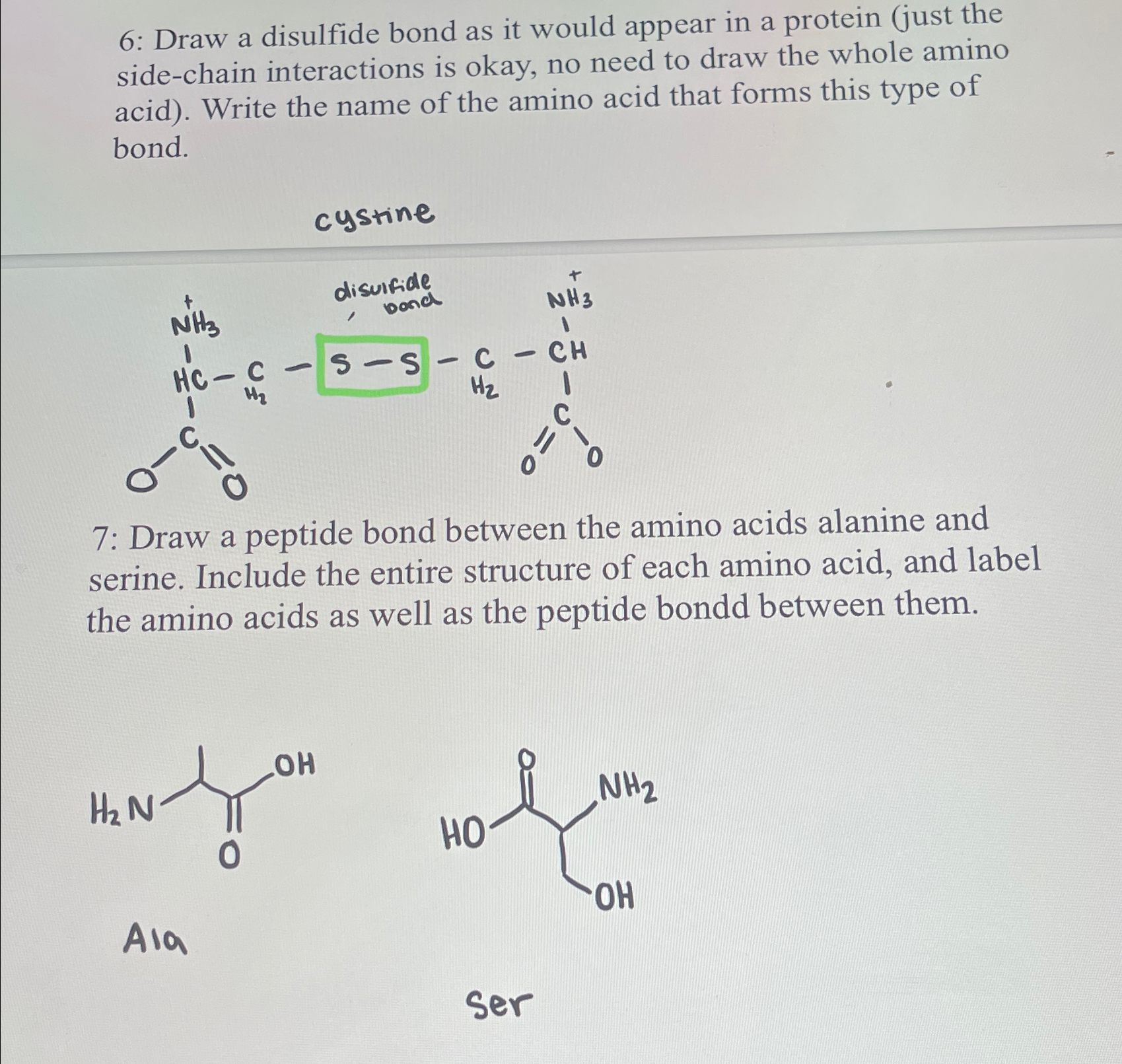 Solved 6: Draw a disulfide bond as it would appear in a | Chegg.com