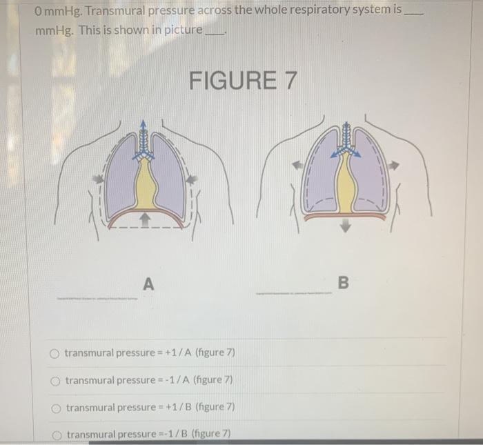 Solved O mmHg. Transmural pressure across the whole | Chegg.com