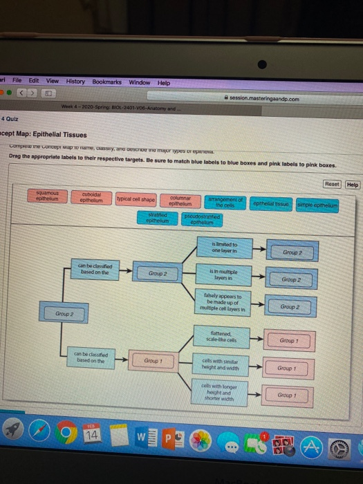 Solved ari File Edit View History Bookmarks Window HelpS | Chegg.com