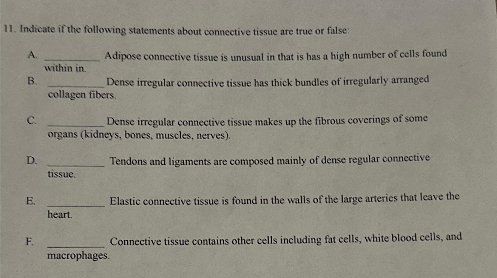 Solved Indicate if the following statements about connective | Chegg.com