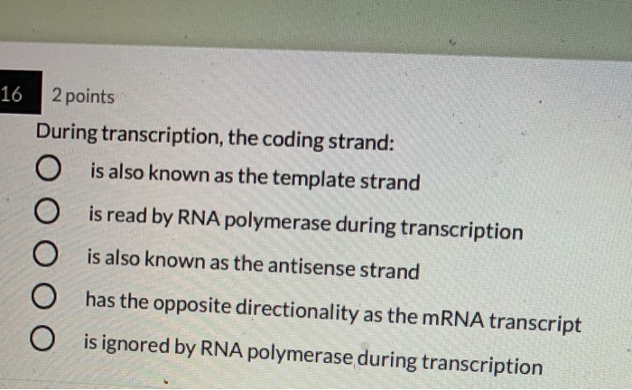 Solved 16 2 points During transcription, the coding strand: | Chegg.com