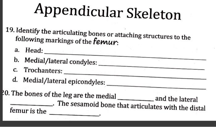 Solved Appendicular Skeleton 19. Identify the articulating | Chegg.com