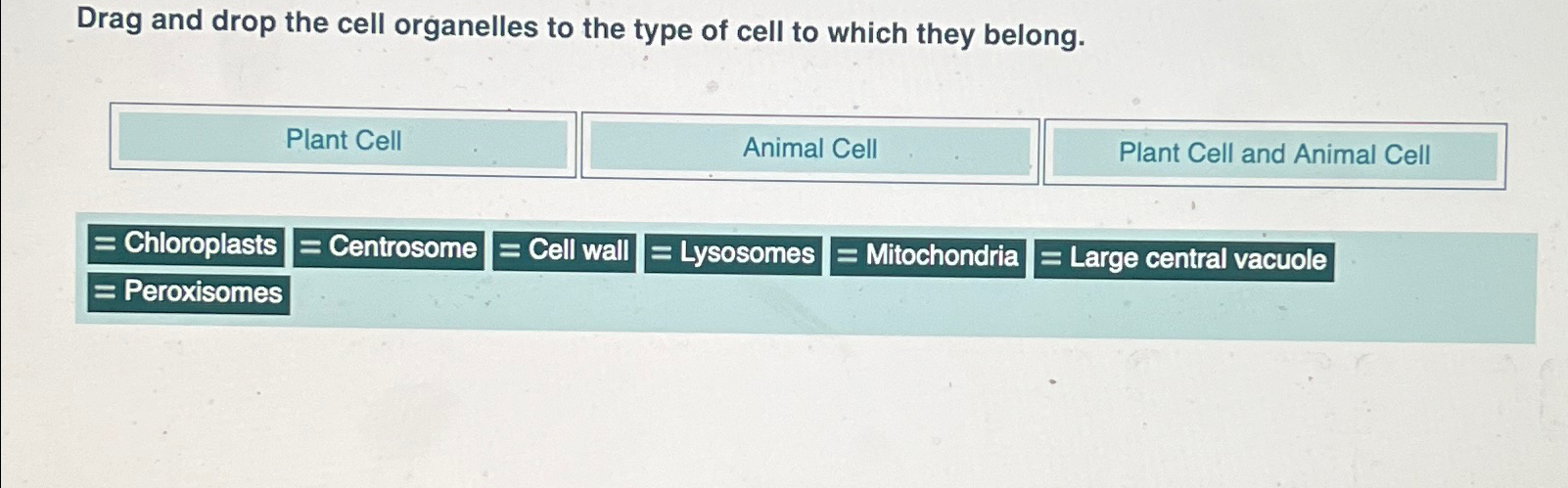 Solved Drag and drop the cell organelles to the type of cell | Chegg.com