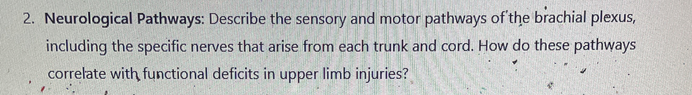 Solved Neurological Pathways: Describe the sensory and motor | Chegg.com