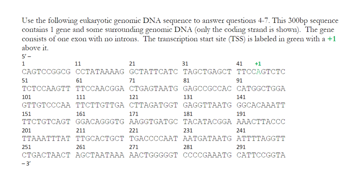 Solved Use the following eukaryotic genomic DNA sequence to | Chegg.com