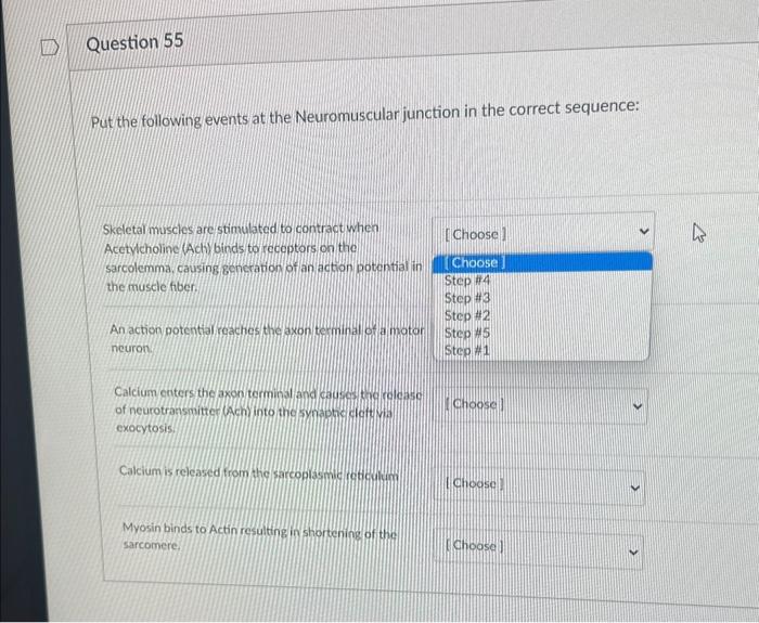 Solved Put the following events at the Neuromuscular | Chegg.com