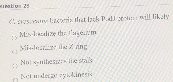 Solved You have learned about the role of MinCDE system in | Chegg.com