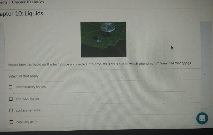 Solved ents Chapter 10: Liquids apter 10: Liquids Notice how | Chegg.com