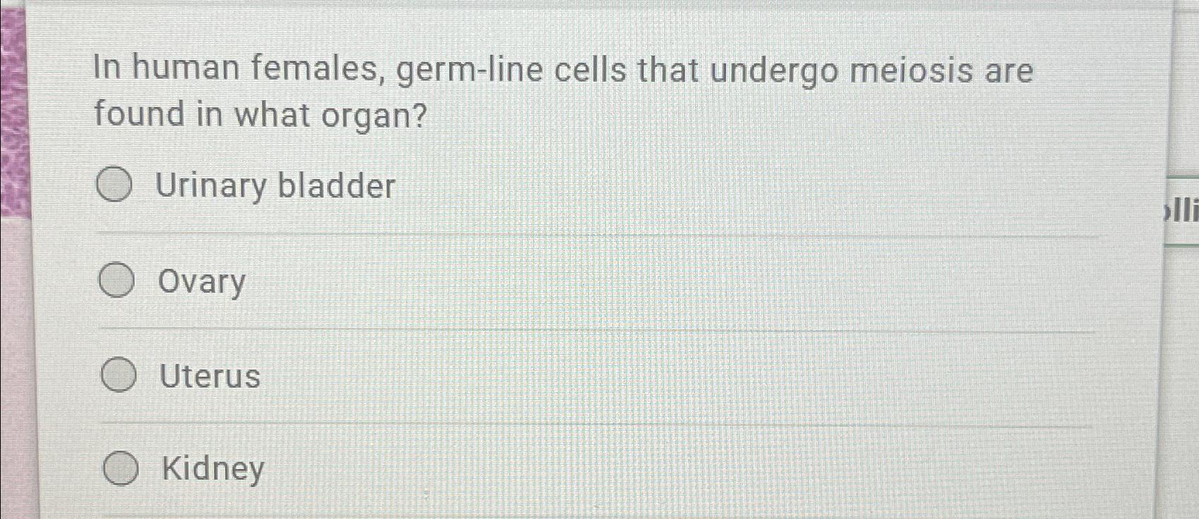 Solved In human females, germ-line cells that undergo | Chegg.com