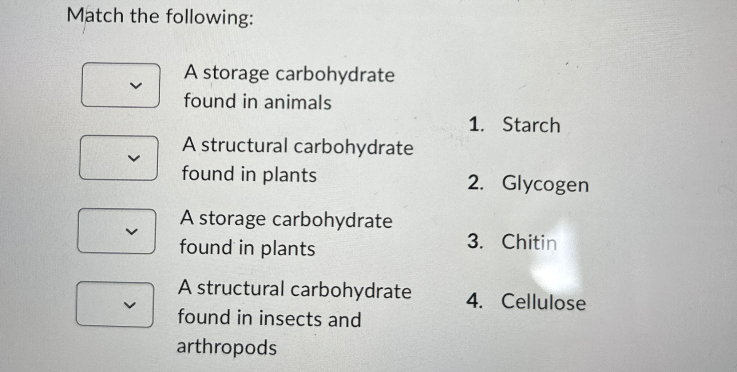 Solved Match the following:A storage carbohydrate found in | Chegg.com
