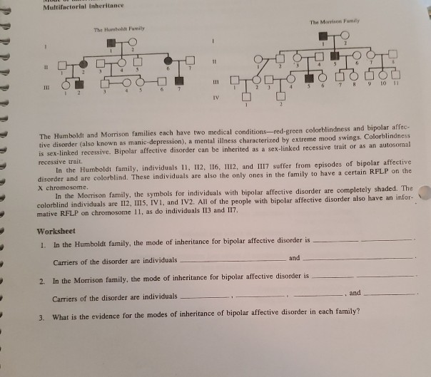 Solved Multifactorial Inheritance The Morrison Family The | Chegg.com