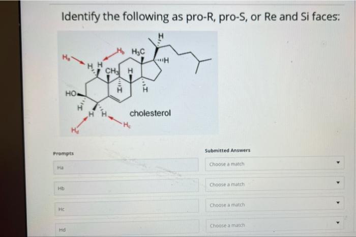 Solved Identify the following as pro-R, pro-s, or Re and Si | Chegg.com