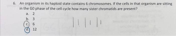Solved 6. An organism in its haploid state contains 6 | Chegg.com