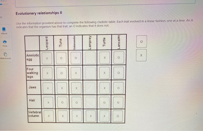 Solved Evolutionary relationships || Use the information | Chegg.com