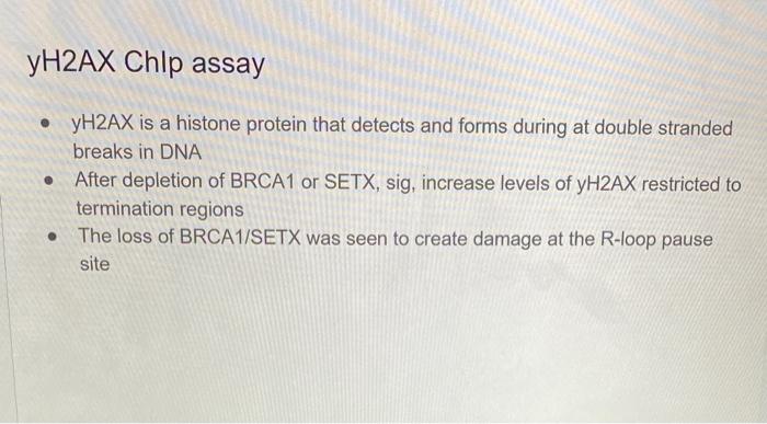 Solved Can someone explain how a yH2AX ChIp is performed and | Chegg.com