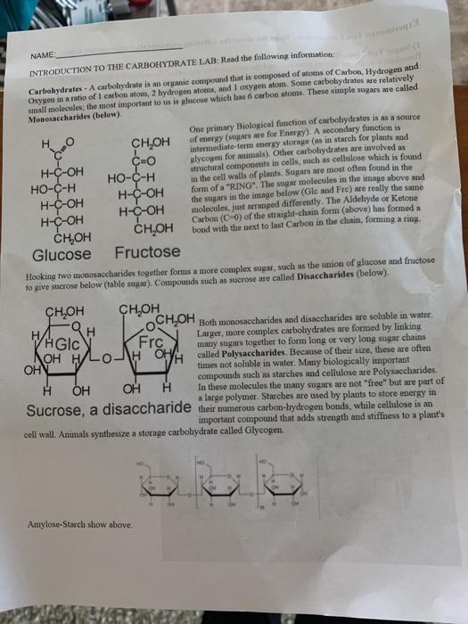 Solved NAME INTRODUCTION TO THE CARBOHYDRATE LAB: Read the | Chegg.com