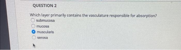 Solved Which layer primarily contains the vasculature | Chegg.com