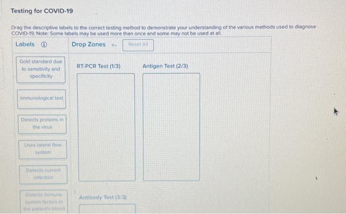 Solved Drag the descriptive labels to the correct testing | Chegg.com