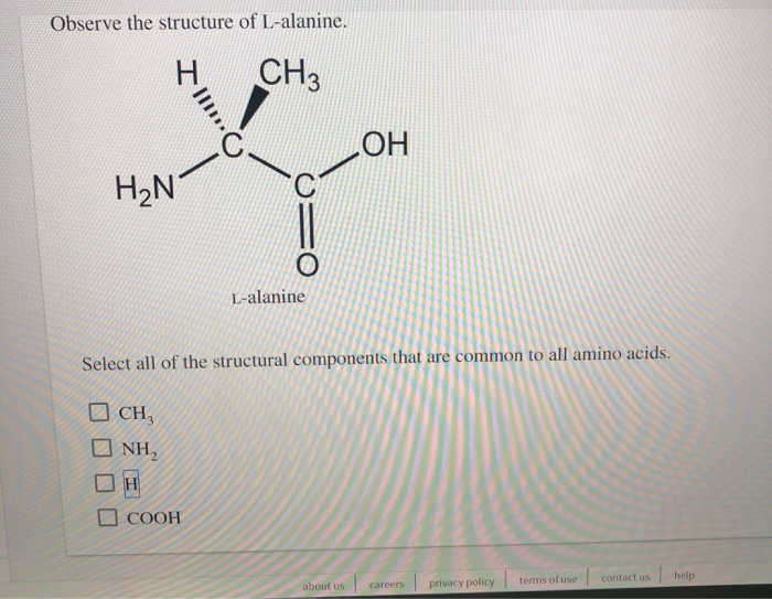 Solved Observe the structure of L-alanine. H CH3 OH O H2N | Chegg.com