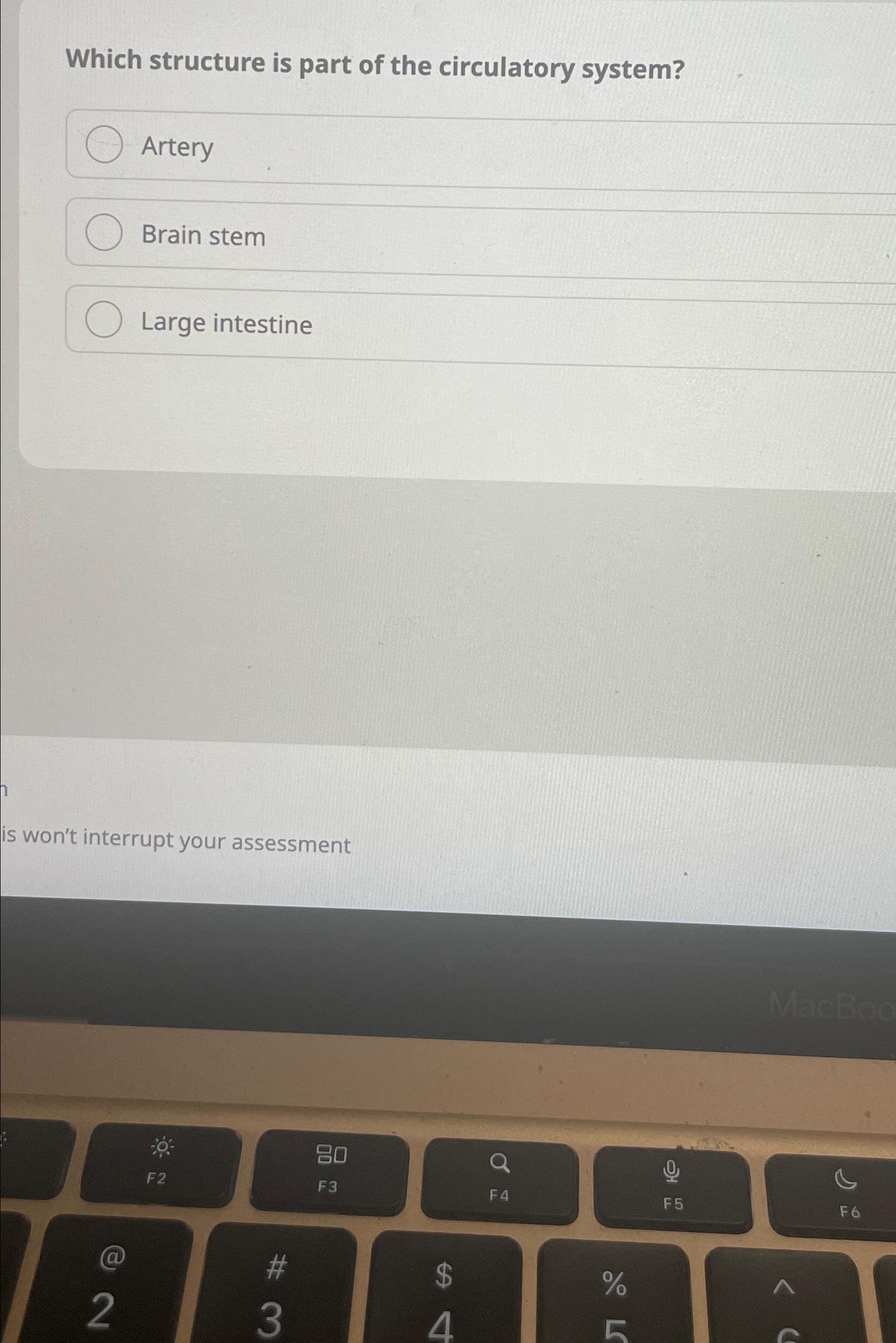 Solved Which structure is part of the circulatory | Chegg.com