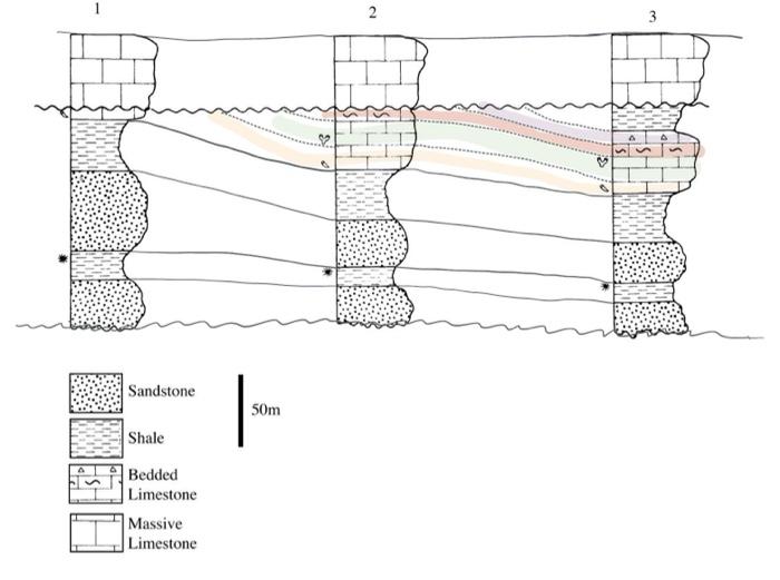 Solved Shale | Chegg.com