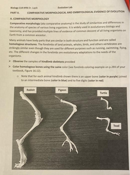[Solved]: color in the parts please Biology 114 HYB Dr. Lapi