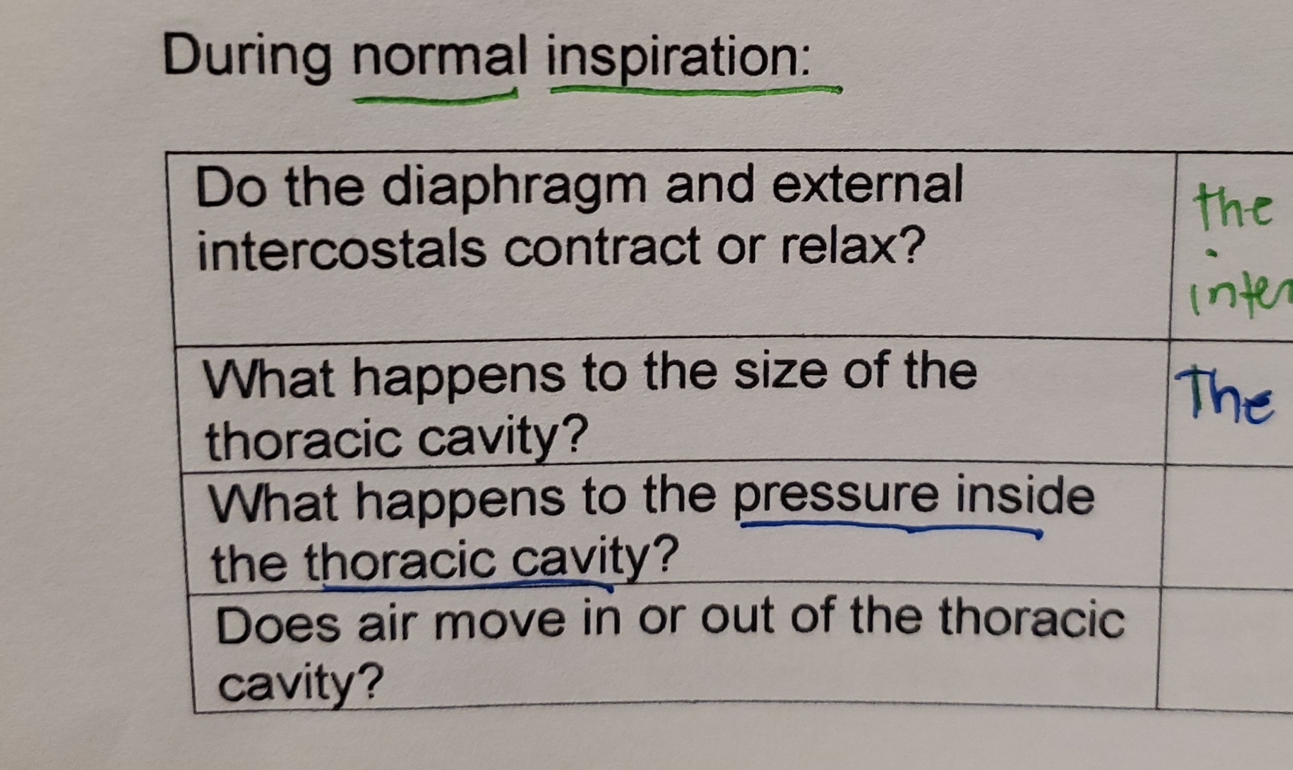 Solved During normal inspiration:\table[[\table[[Do the | Chegg.com