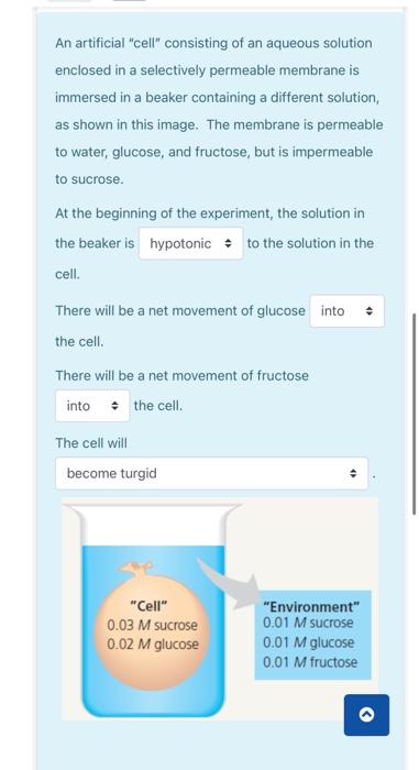 Solved An artificial "cell" consisting of an aqueous | Chegg.com