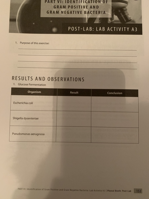 Solved BEEE?!!!... PART VI: IDENTIFICATION OF GRAM POSITIVE | Chegg.com