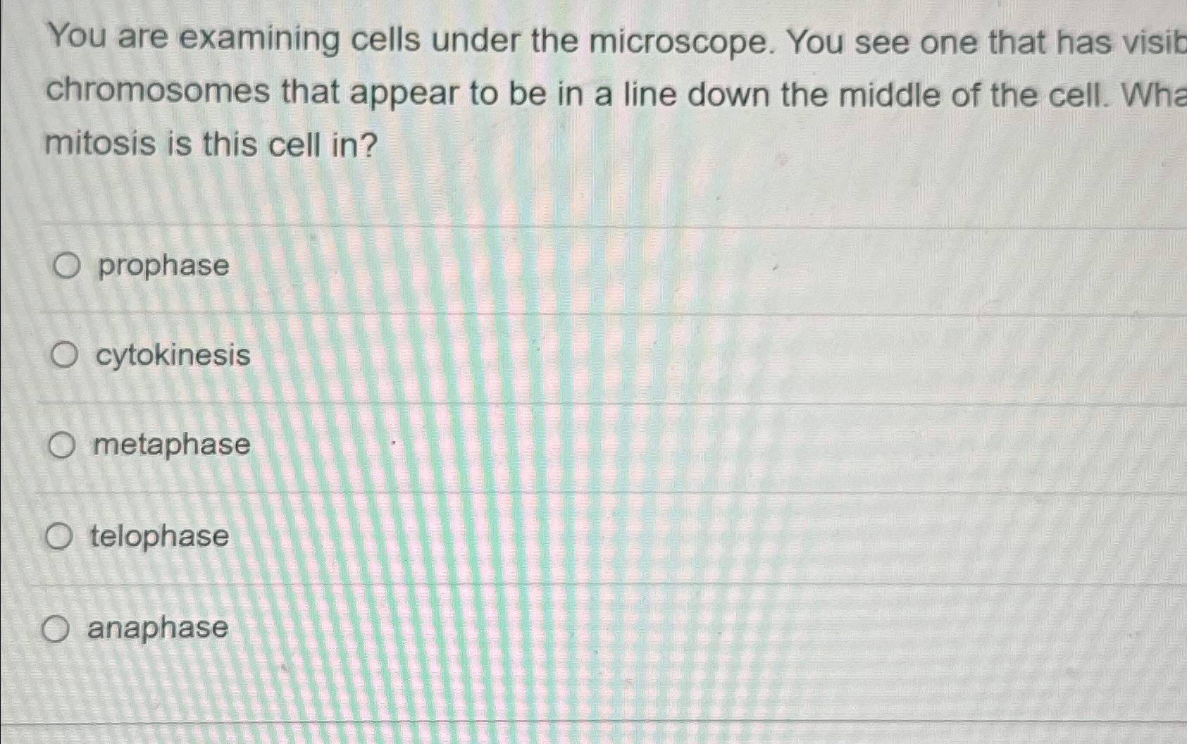 Solved You are examining cells under the microscope. You see | Chegg.com
