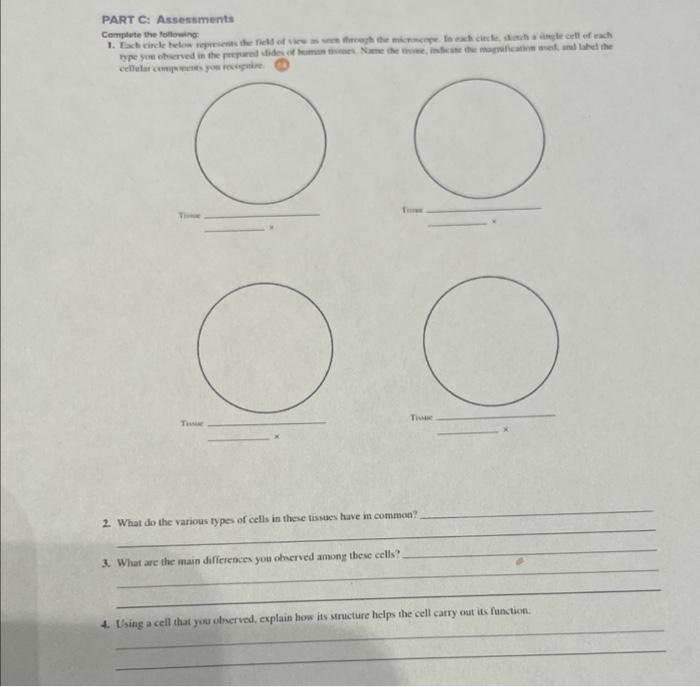 PART C: Assessments Cemplete the followino: 2. What | Chegg.com