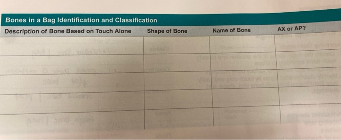 Bones in a Bag Identification and Classification | Chegg.com