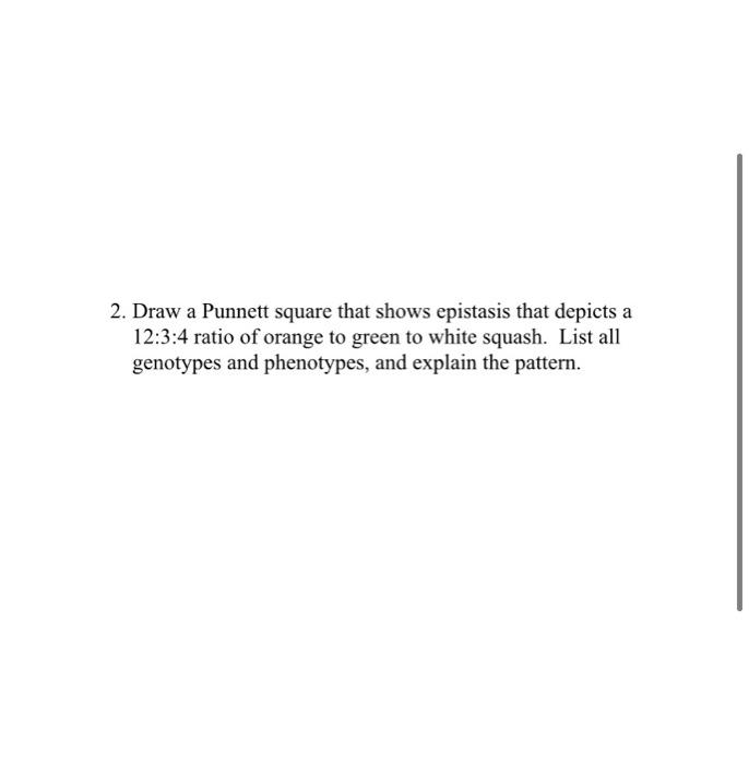 Solved 2 Draw A Punnett Square That Shows Epistasis That