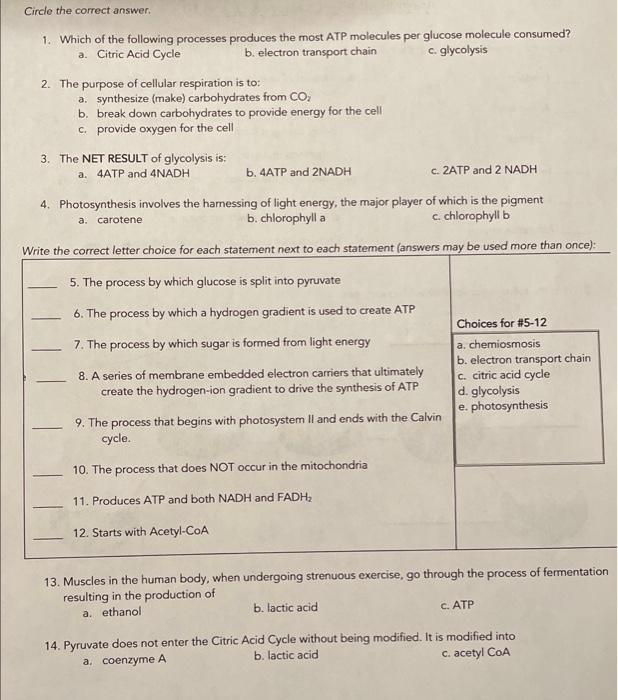 Solved 1. Which of the following processes produces the most | Chegg.com