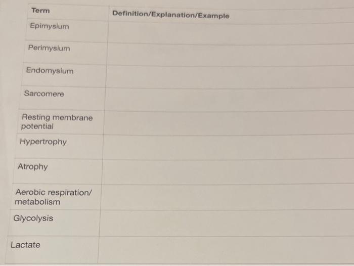 Solved Term Definition/Explanation/Example Epimysium | Chegg.com