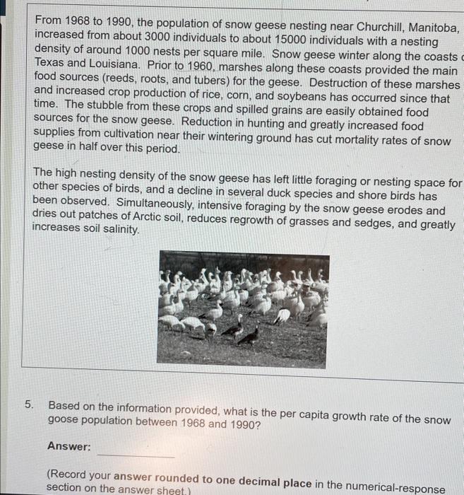 Solved From 1968 to 1990 , the population of snow geese | Chegg.com