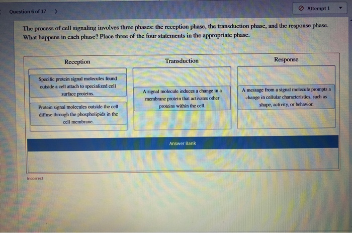 Solved Question 6 of 17 Attempt 1 > The process of cell | Chegg.com