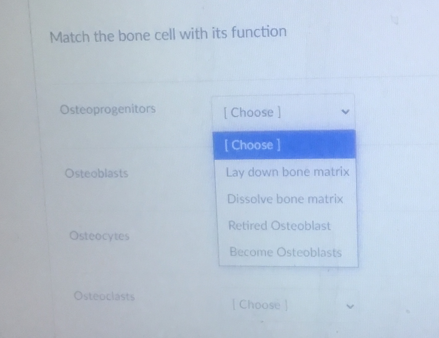 Solved Match the bone cell with its | Chegg.com