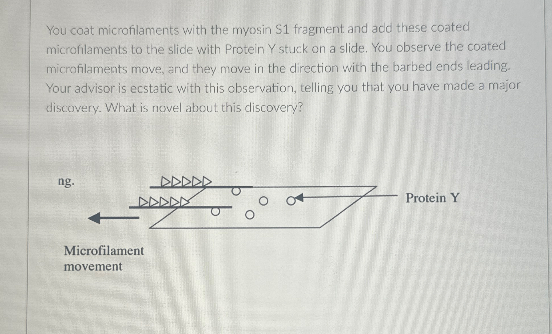 Solved You coat microfilaments with the myosin S1 ﻿fragment | Chegg.com