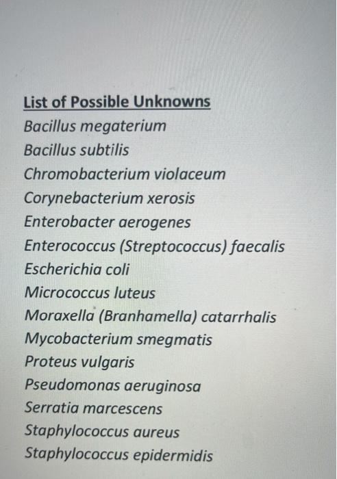 Solved List of Possible Unknowns Bacillus megaterium | Chegg.com