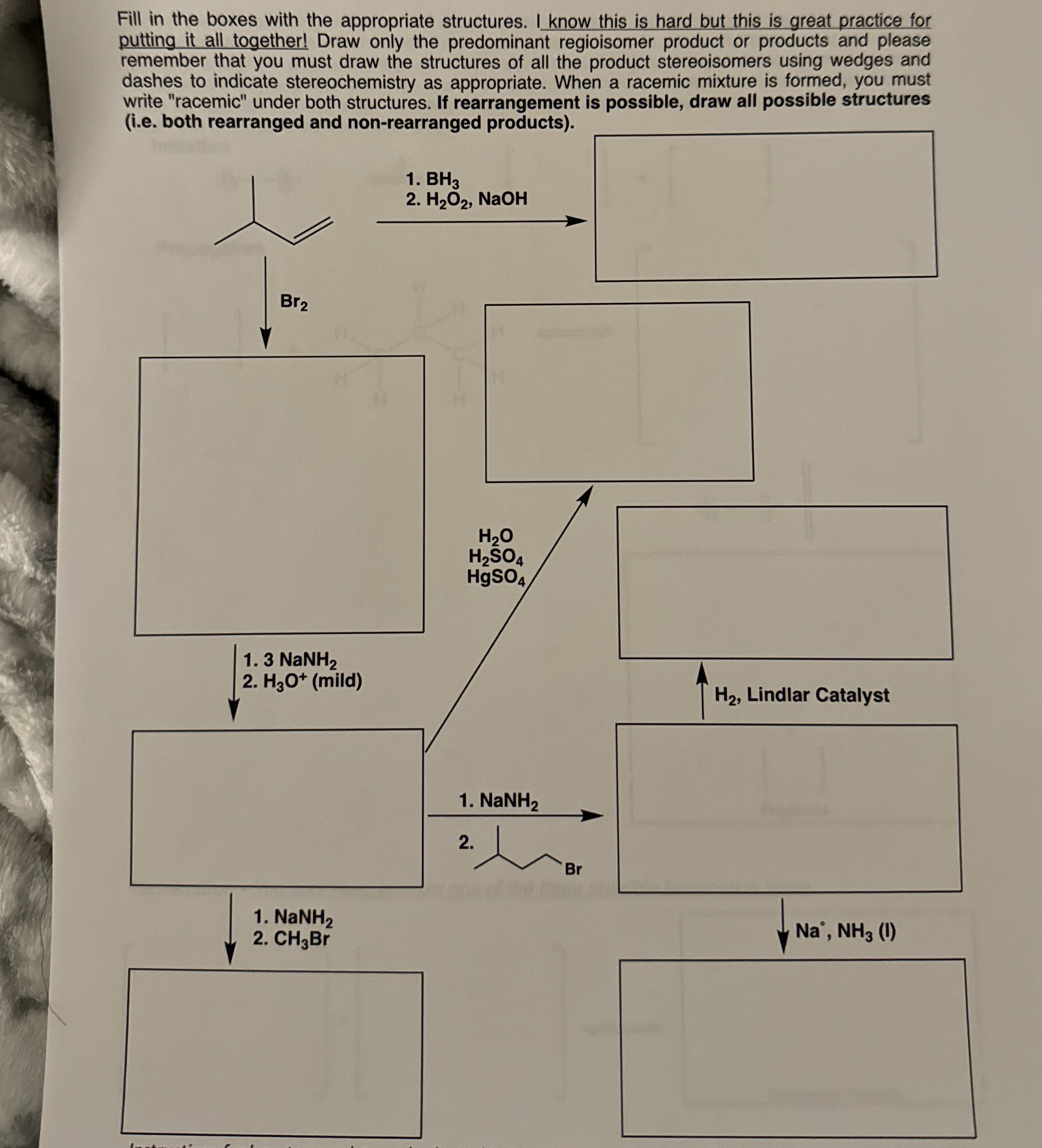 Solved by an EXPERT Name:Net ID:Fill in the boxes with the appropriate | Chegg.com
